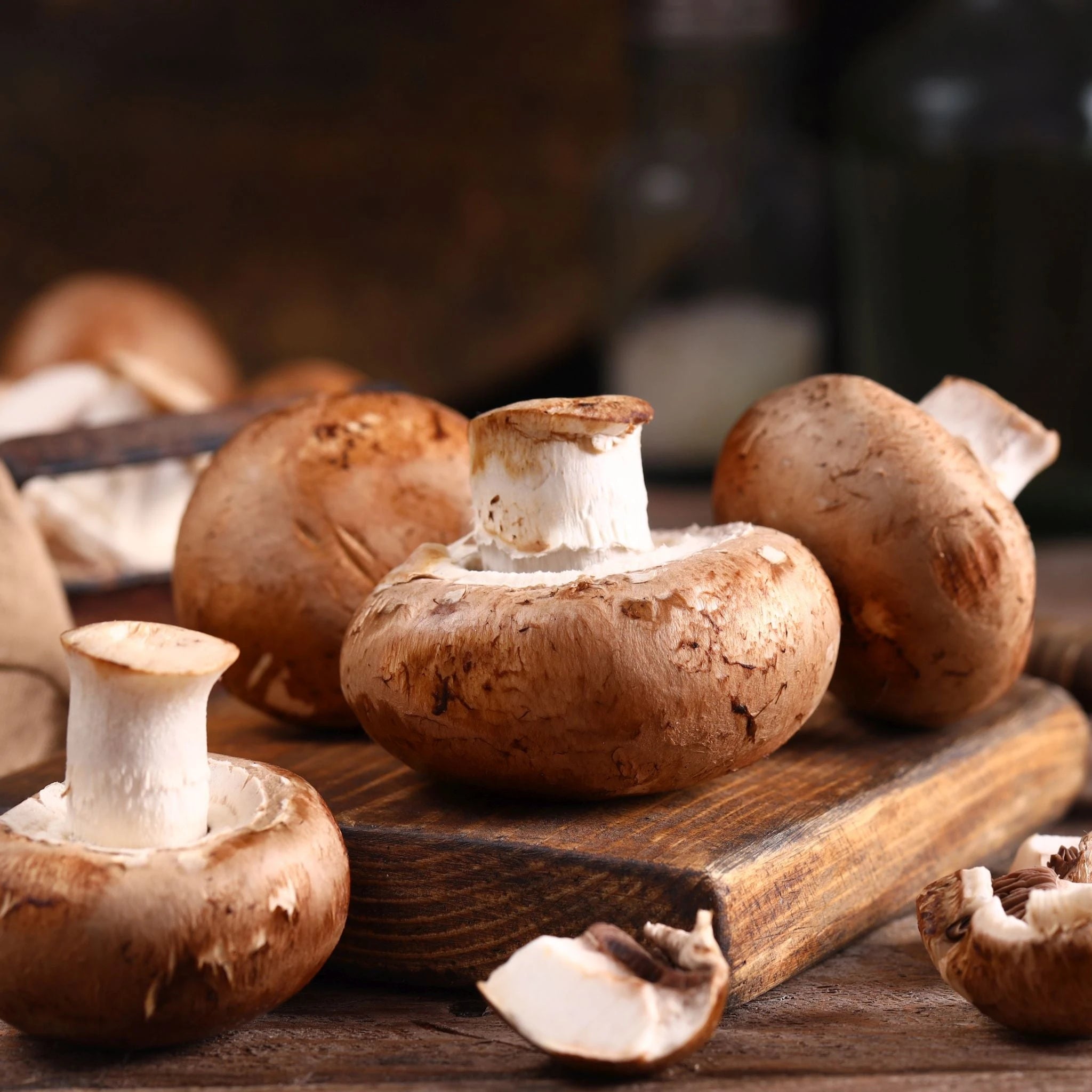 Mushrooms – Organity