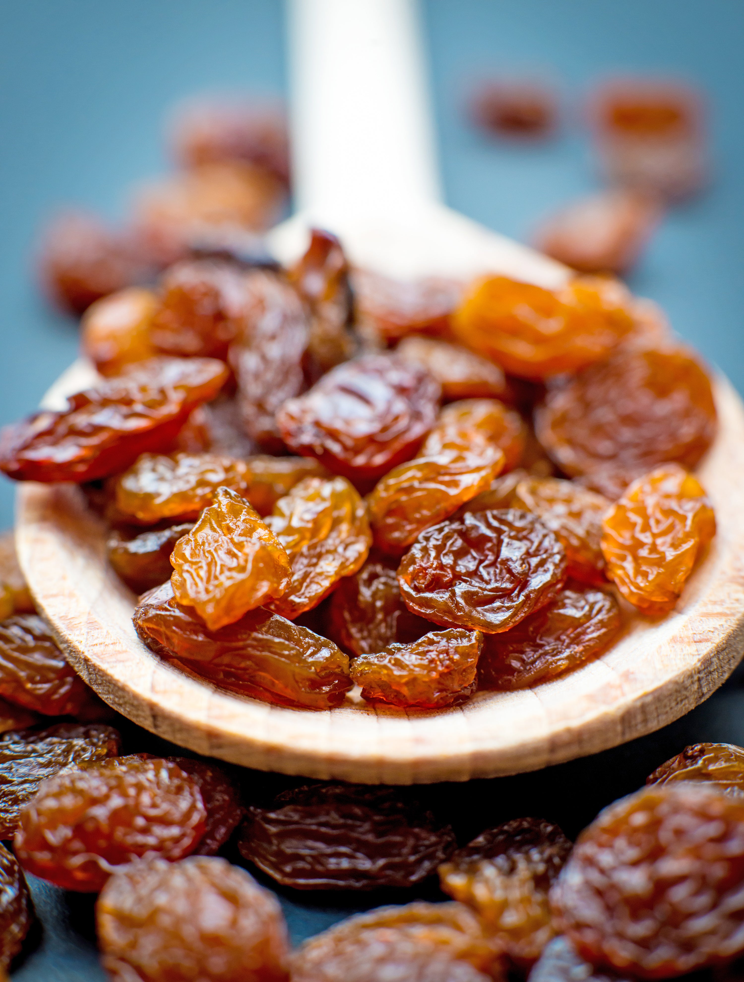 Sultanas – Organity